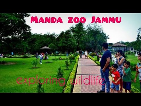 exploring Manda park wildlife sanctuary ||vlog 1 - YouTube