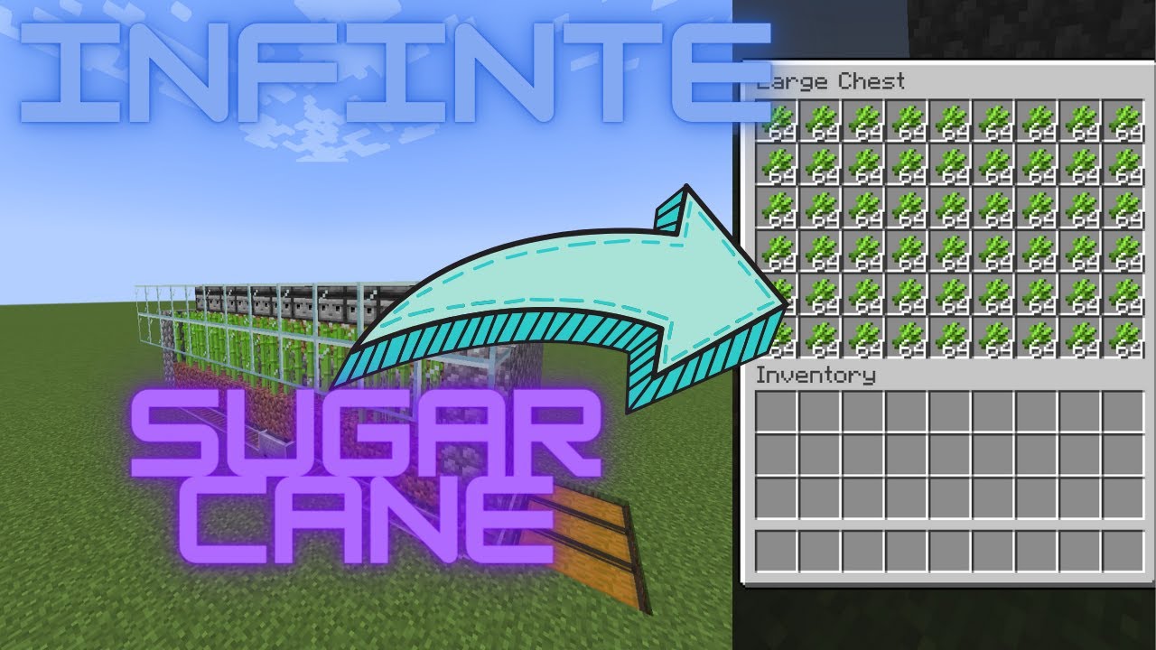 Easy sugar cane farm in 1.20 Minecraft Java - YouTube