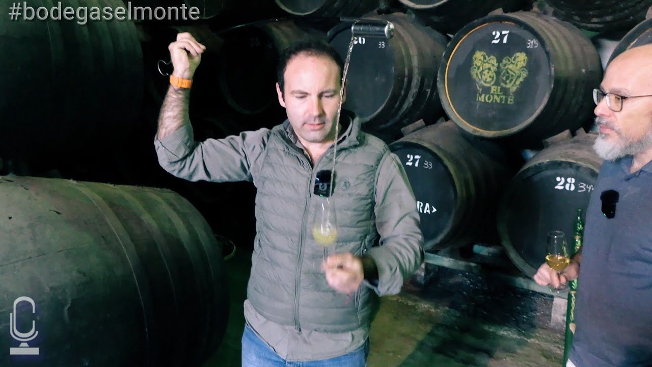 VIDEOPODCAST Cultura del Vino 32 Especial El Monte 2024 - YouTube