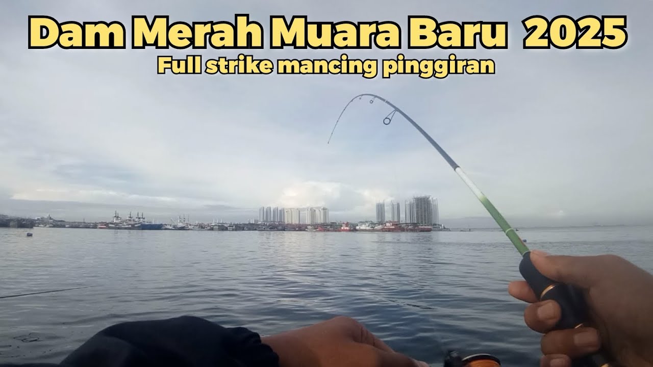 Hari Ini !!! Full strike mancing pinggiran di dam merah muara baru #muarabaru - YouTube