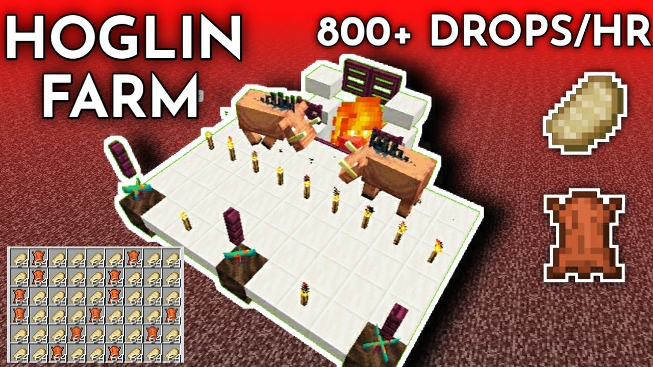 Simple HOGLIN FARM | Leather and Cooked Porkchop | Minecraft 1.16 ...
