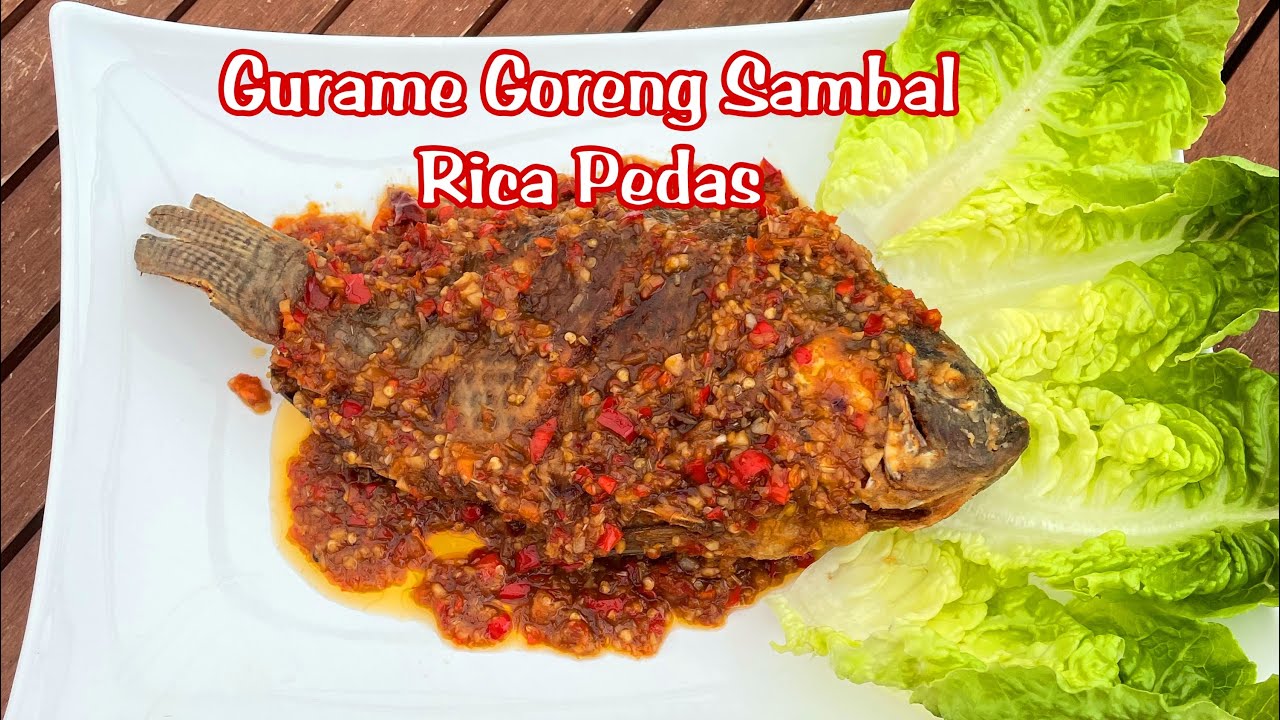 Gurame Goreng Rica-rica ||Gurih dan Pedasnya Enak Banget Gaeeesss😋😋😋😅 ...