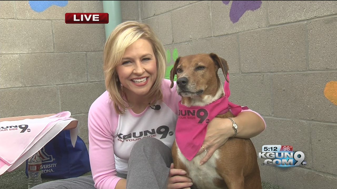 Erin Christiansen PACC KGUN ADOPTION EVENT August 7, 2014 2 - YouTube