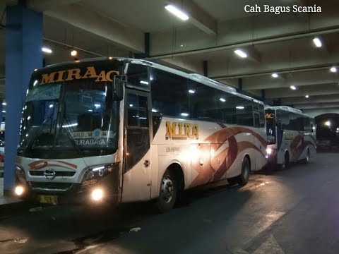 sing penting yakin,2 bus Mira 7820 adu balap diNgawi