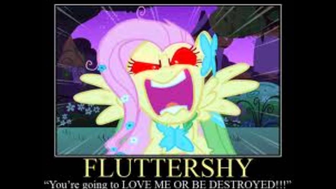 Mlp Fim Funny Meme