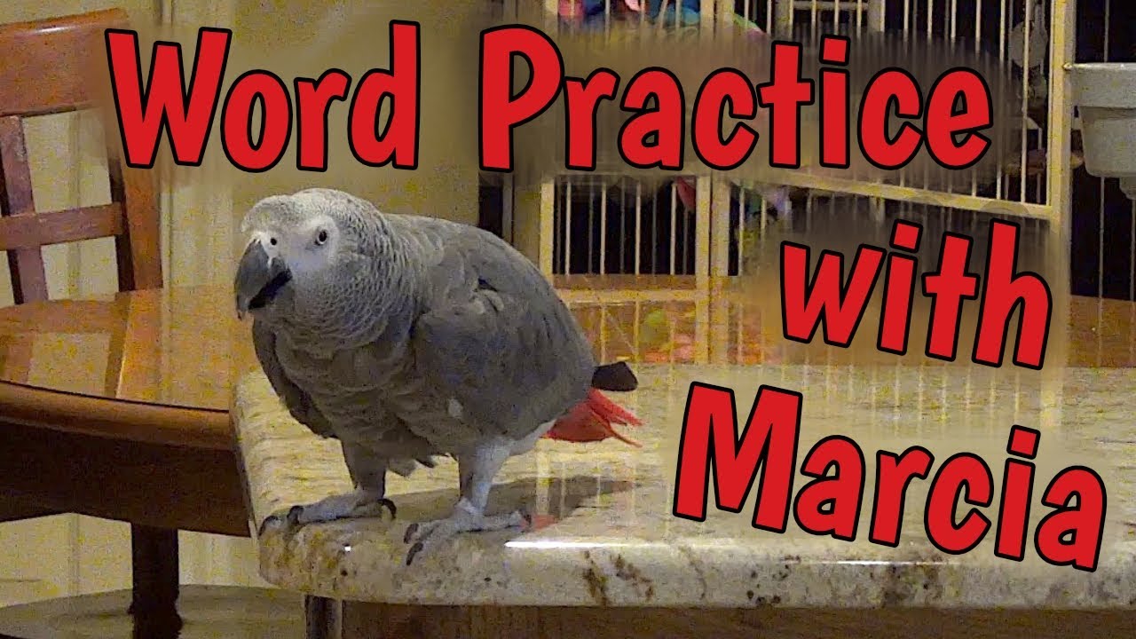 Einstein's Word Practice with Marcia - YouTube