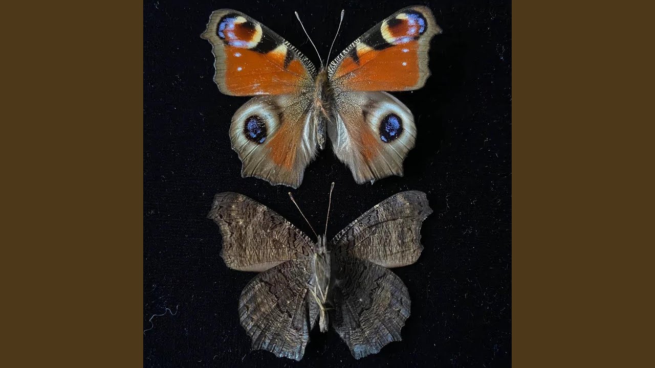 有点（Live well）prod by Red killer (有点（Live well）prod by Red kille) - YouTube