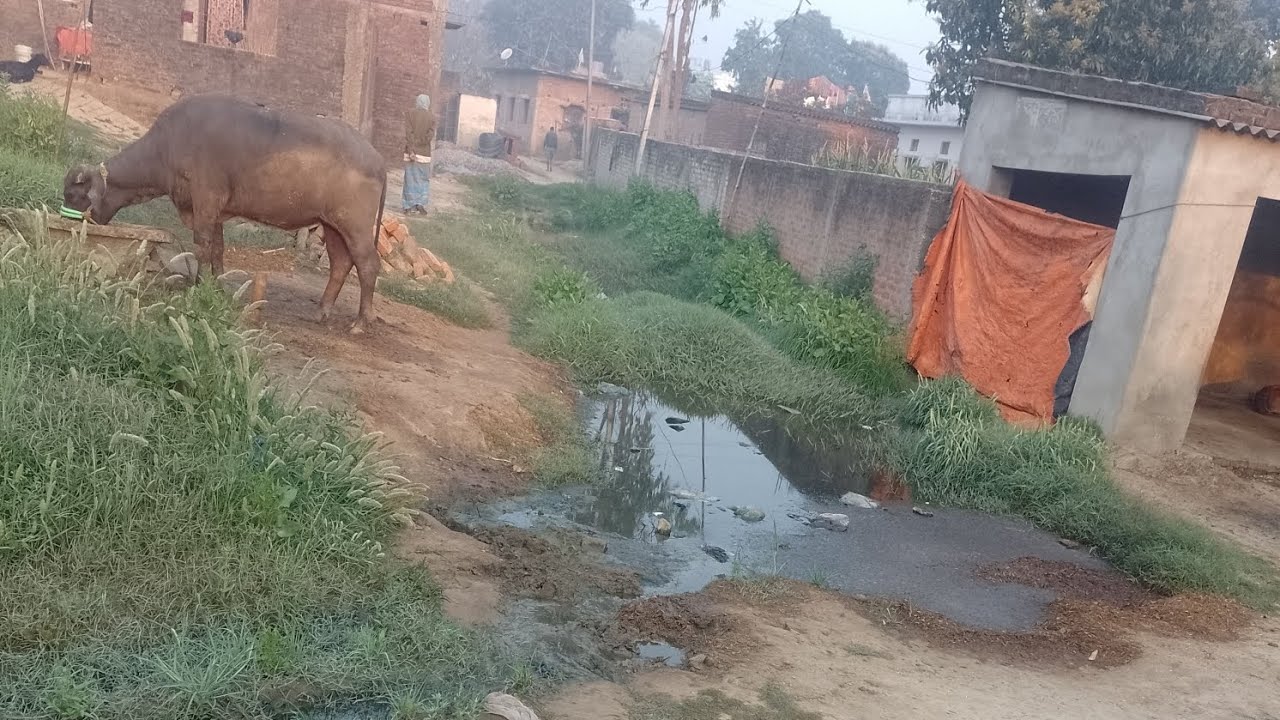 ishwar Singh Bankata Amethia, Bhatpar Rani,Laar Deoria Due to the flow ...