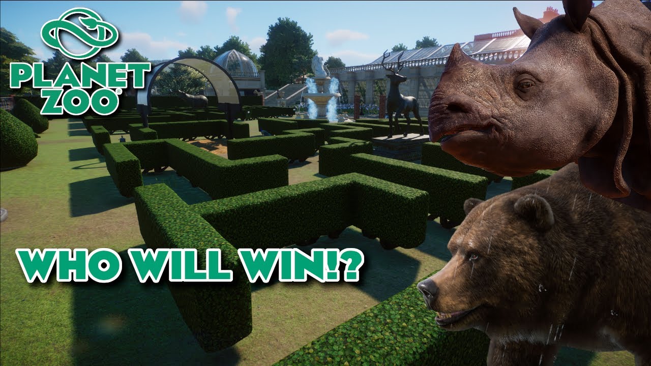 RACING in Planet Zoo!? Who wins!? 20+ animal race - YouTube