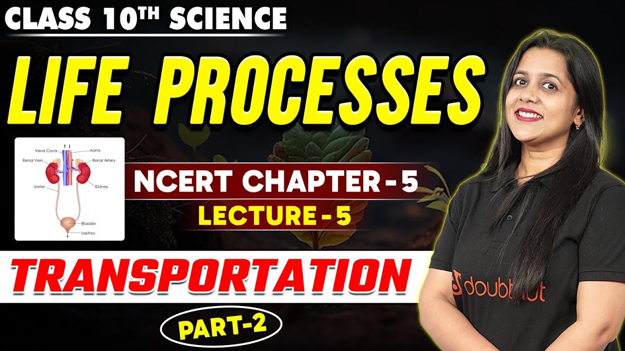 Transportation in Human Beings Class 10 - PART 2 | Life Processes - L5 ...