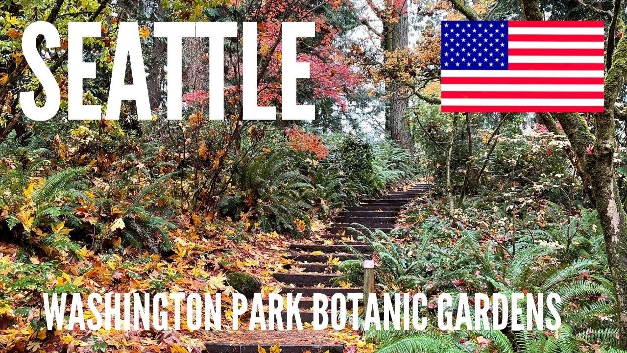 🇺🇸Nature Walk in Washington Park Arboretum| University of Washington ...