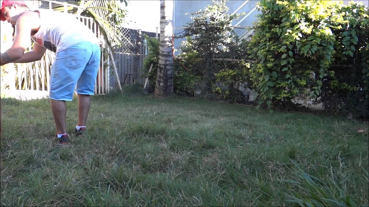 Tomarctus Brutus ( House Besten ) - YouTube