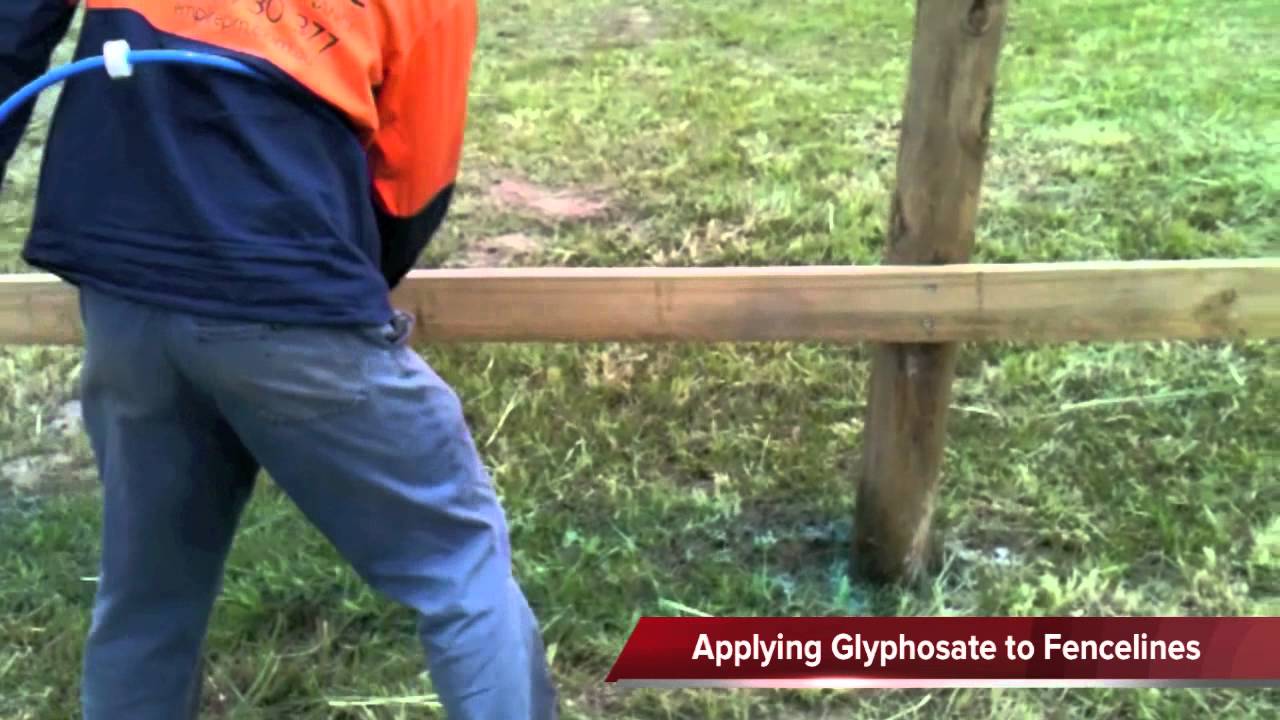 Glyphosate Application - YouTube