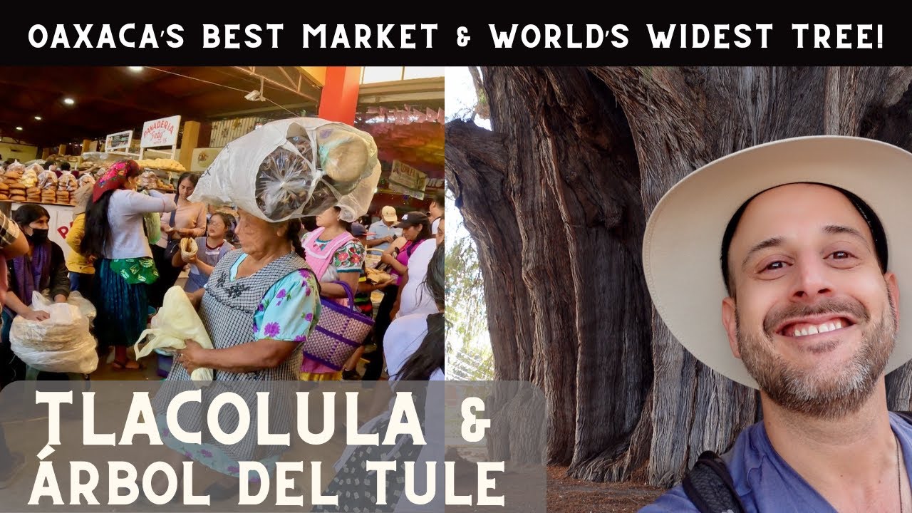 Tlacolula AND Tree of Tule: Oaxaca's BEST Market and the World's WIDEST ...