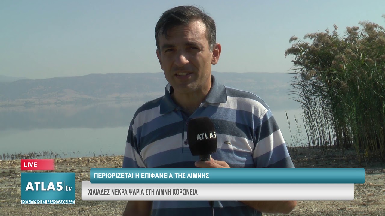 ΧΙΛΙΑΔΕΣ ΝΕΚΡΑ ΨΑΡΙΑ ΣΤΗ ΛΙΜΝΗ ΚΟΡΩΝΕΙΑ - YouTube