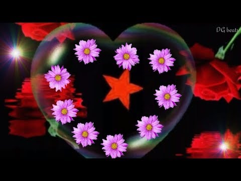 !! Latest new love whatsapp stutas video !! D G beats