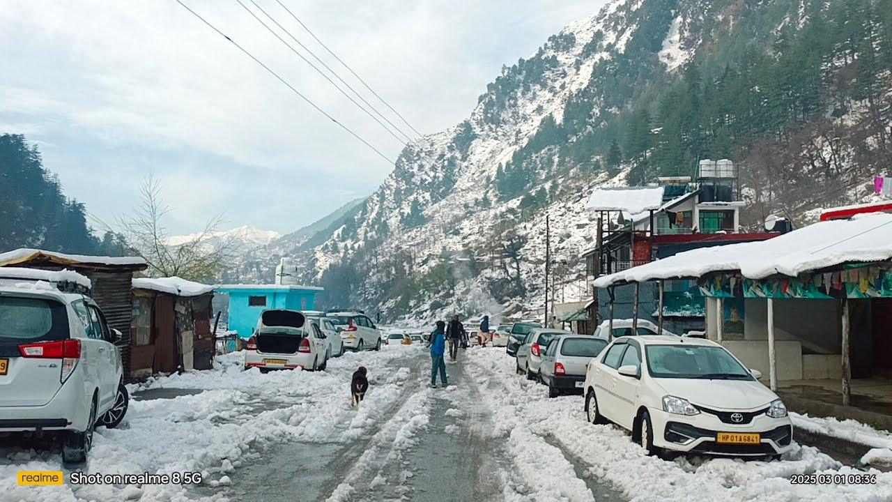 27 feb 2025 snow fall in old Manali hadimba Devi temple SHORYA TOUR AND ...