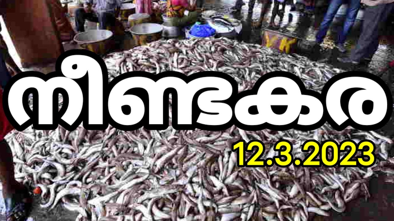 നീണ്ടകര ഫിഷിംഗ് ഹാർബർ/neendakara fishing Harbour - YouTube