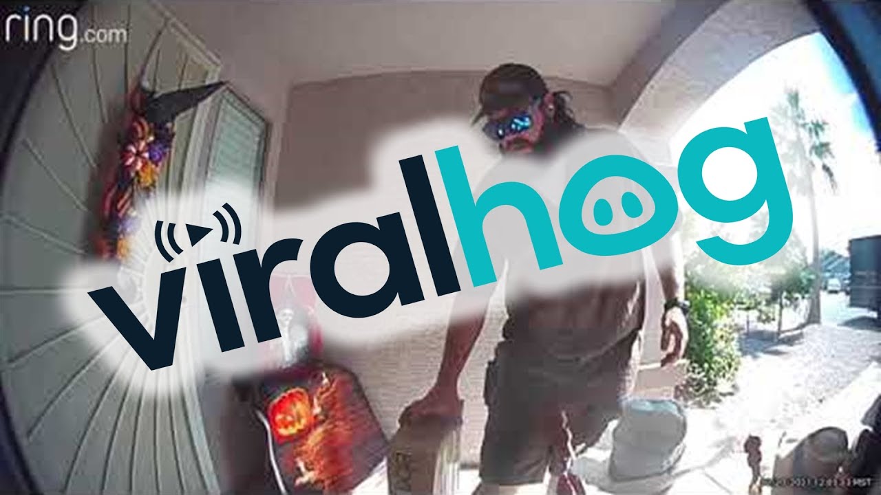 Cat Surprises UPS Delivery Driver || ViralHog - YouTube