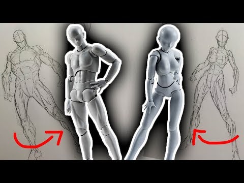 Male vs Female Figures - the one thing EVERY artist MUST know!