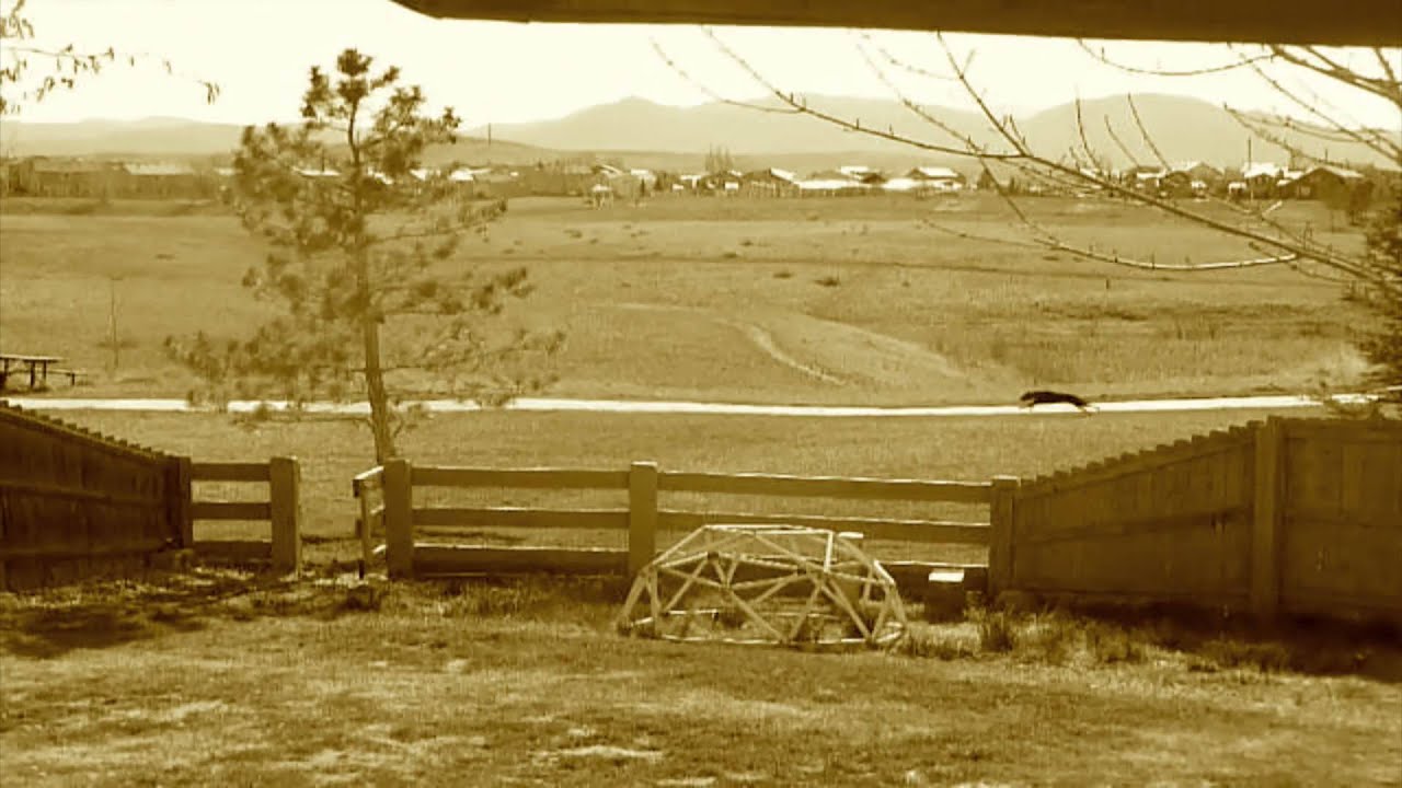 Beau on the Go - YouTube