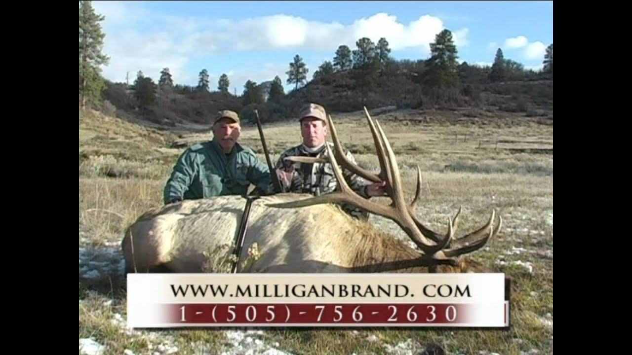 Milligan Elk Hunt 2004 330 bull short clip.mp4 - YouTube