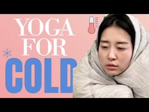 YOGA FOR BEGINNERS | YOGA FOR COLD | 10 MIN YOGA PRACTICE - YouTube