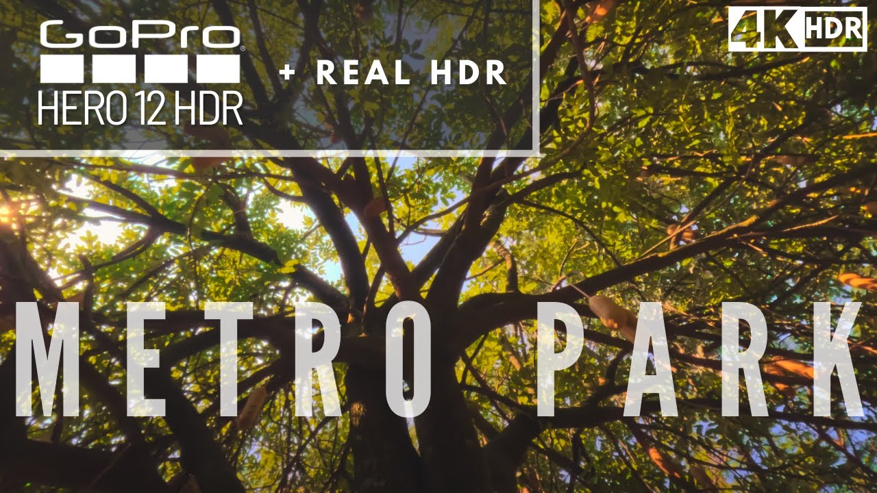 GoPro HERO 12 HDR 10bits + Real HDR, Rec.2020, HLG, 4k + GoPro labs 200 ...