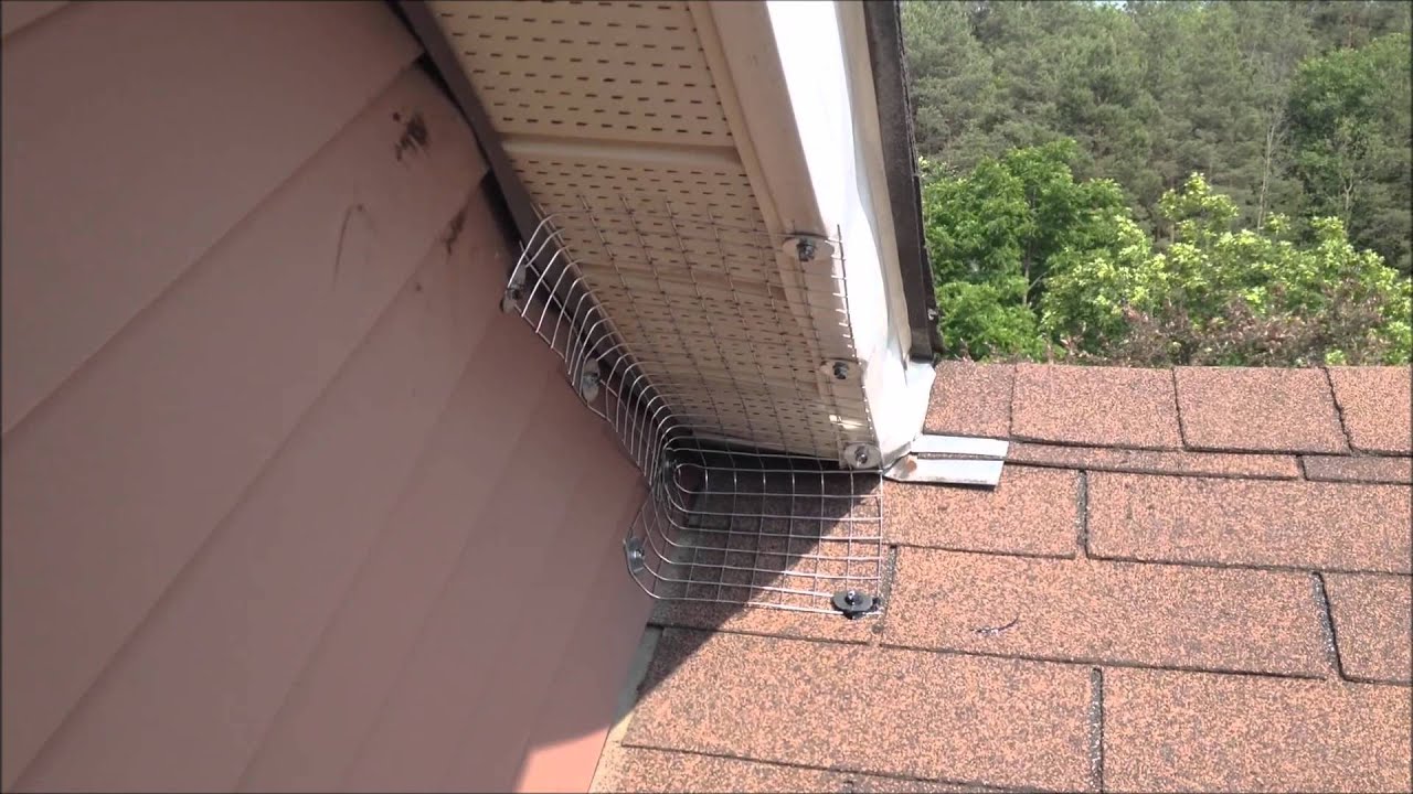 Wildlife Proofing The Roof 2 - YouTube