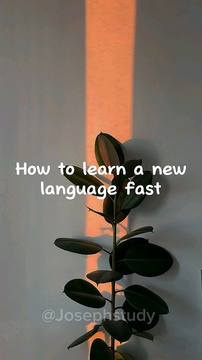 How to learn a new language fast #study #shorts #studytips - YouTube