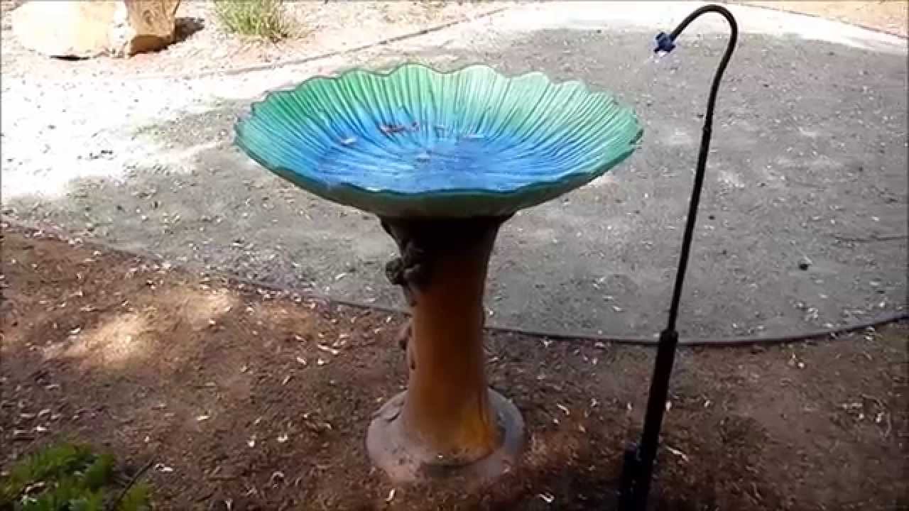 Automated Bird Bath Filler YouTube automated-bird-bath-filler-youtube