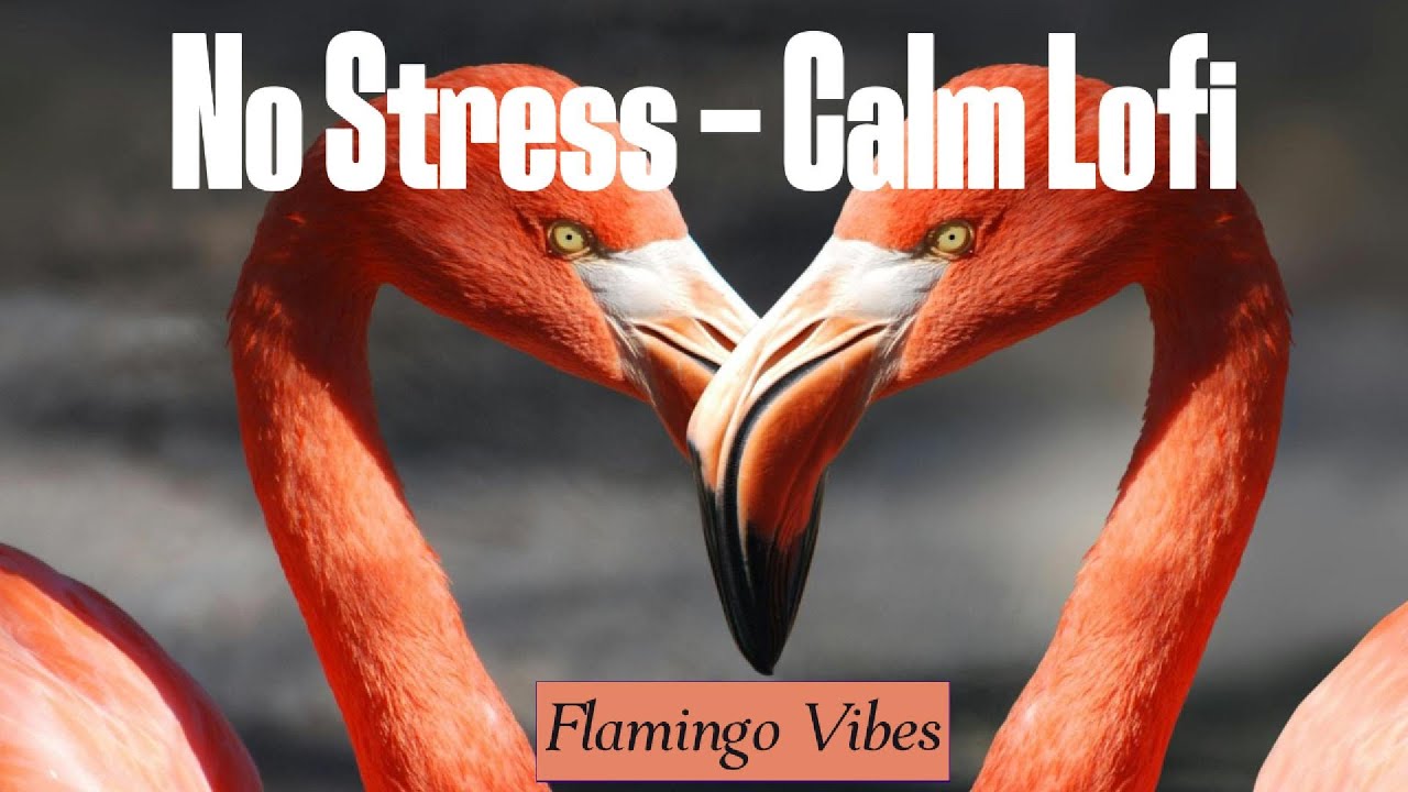 No Stress – Only Calm | Flamingo-Inspired Lofi Focus & Relaxing Vibes ...