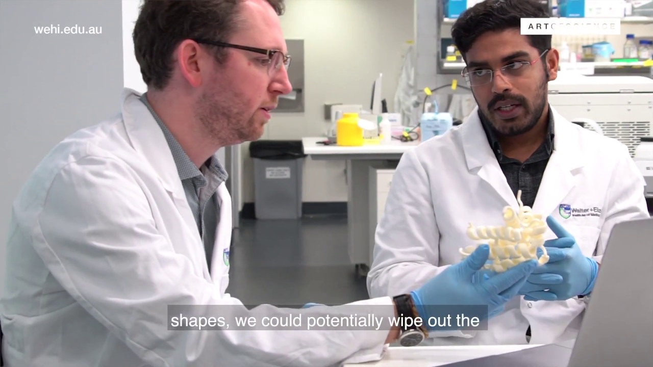 Art of Science behind the scenes | Gobstopper by Brendan Ansell, Balu ...