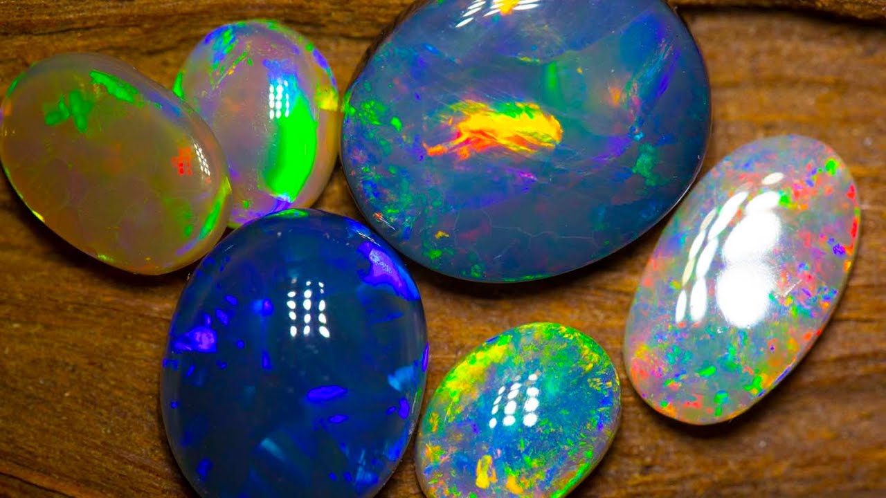 Opal results from the live at color central - YouTube