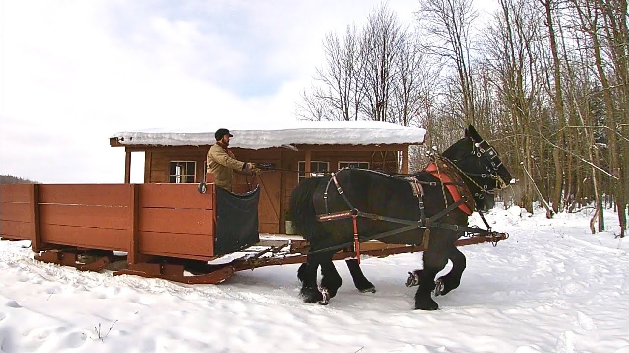 Taking a Sleigh Ride/ Cleaning Off the Pond - YouTube