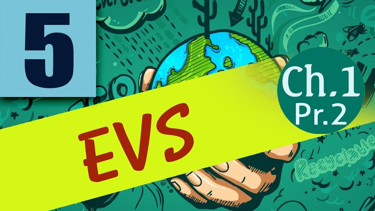 Class 5 EVS 2 Chapter No 1 What Is History Part 2 YouTube class-5-evs-2-chapter-no-1-what-is-history-part-2-youtube