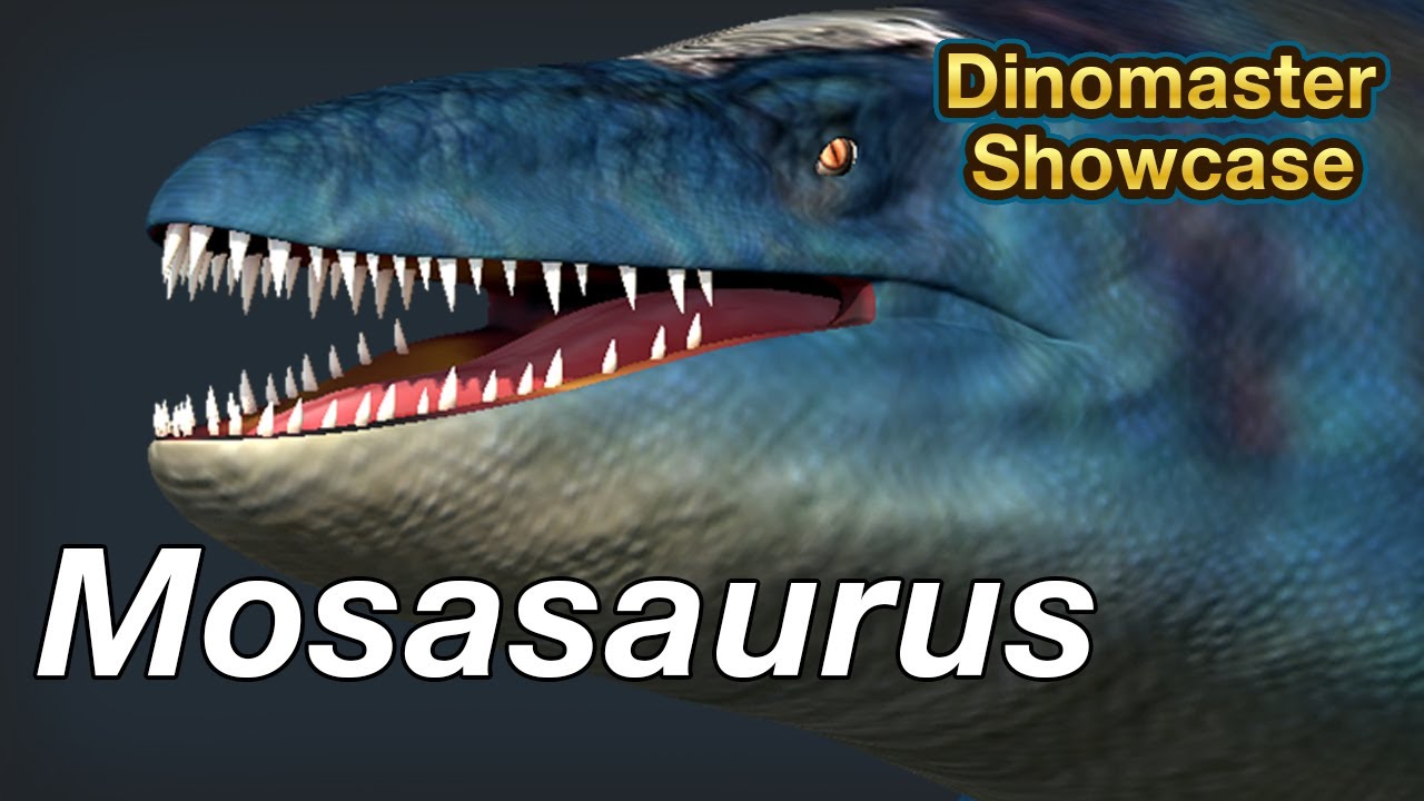 [Dinomaster Showcase] Mosasaurus Card - YouTube
