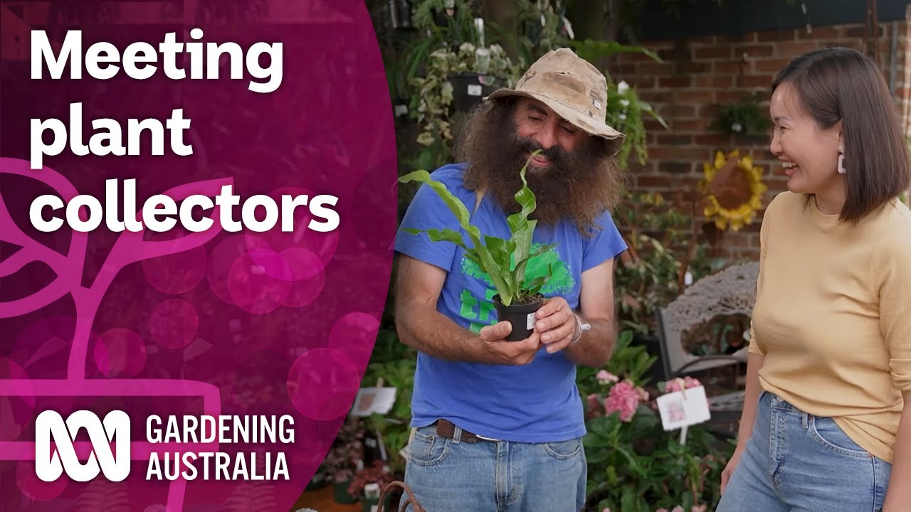 Join us as we visit a collector's plant fair | Discovery | Gardening ...