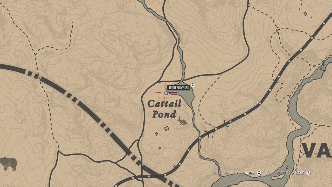 Red Dead Redemption 2 Online | Daily Challenges | Geese Location ...