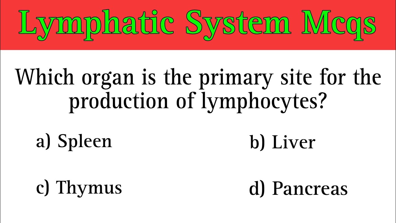 Lymphatic System Mcq lymphatic System Quiz YouTube lymphatic-system-mcq-lymphatic-system-quiz-youtube