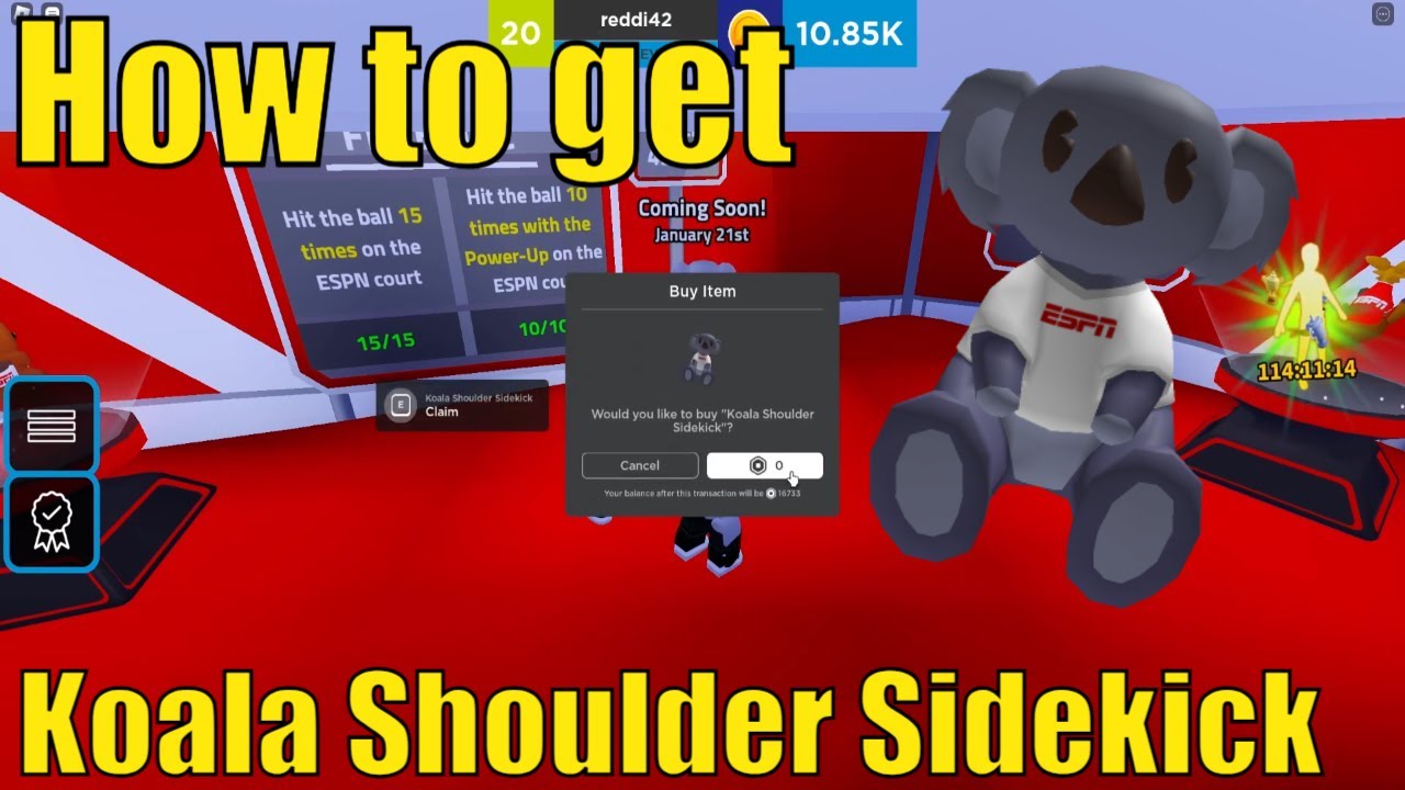 How to get Koala Shoulder Sidekick in AO Adventure | ESPN Courts | 50k ...