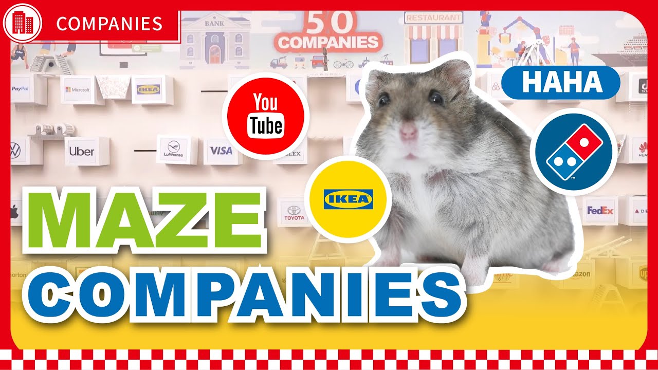 Hamster 50 Companies Maze Game🐹 - YouTube