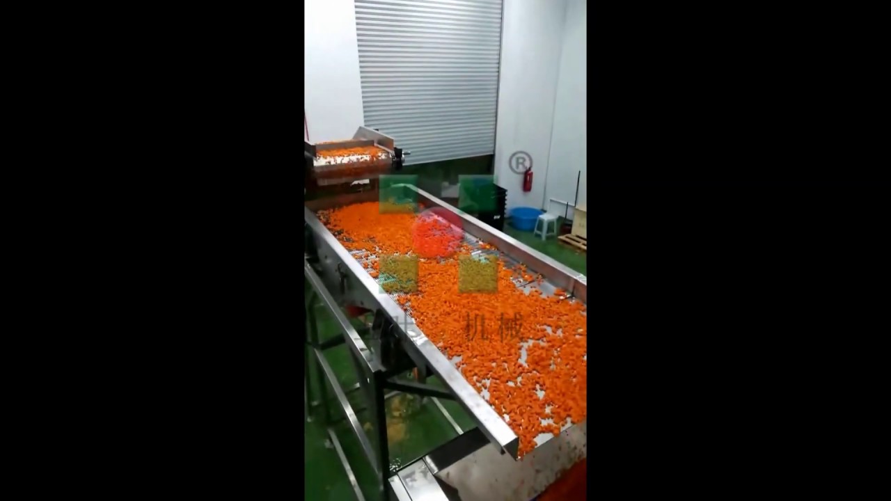 carrot washing machine/carrot peeling machine/carrot processing machine ...