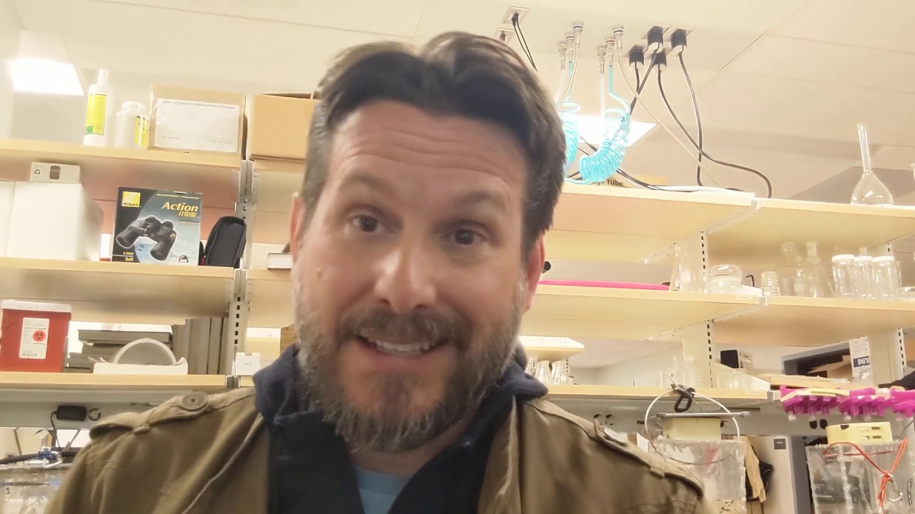 2 Minute Research with Dr. Davis at Radford University - YouTube