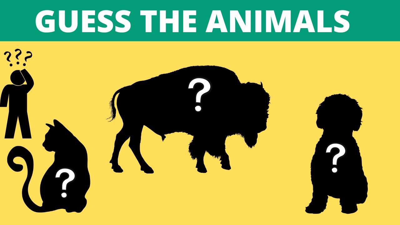 Can You Guess the Animals? Test Your Knowledge in this Exciting ...