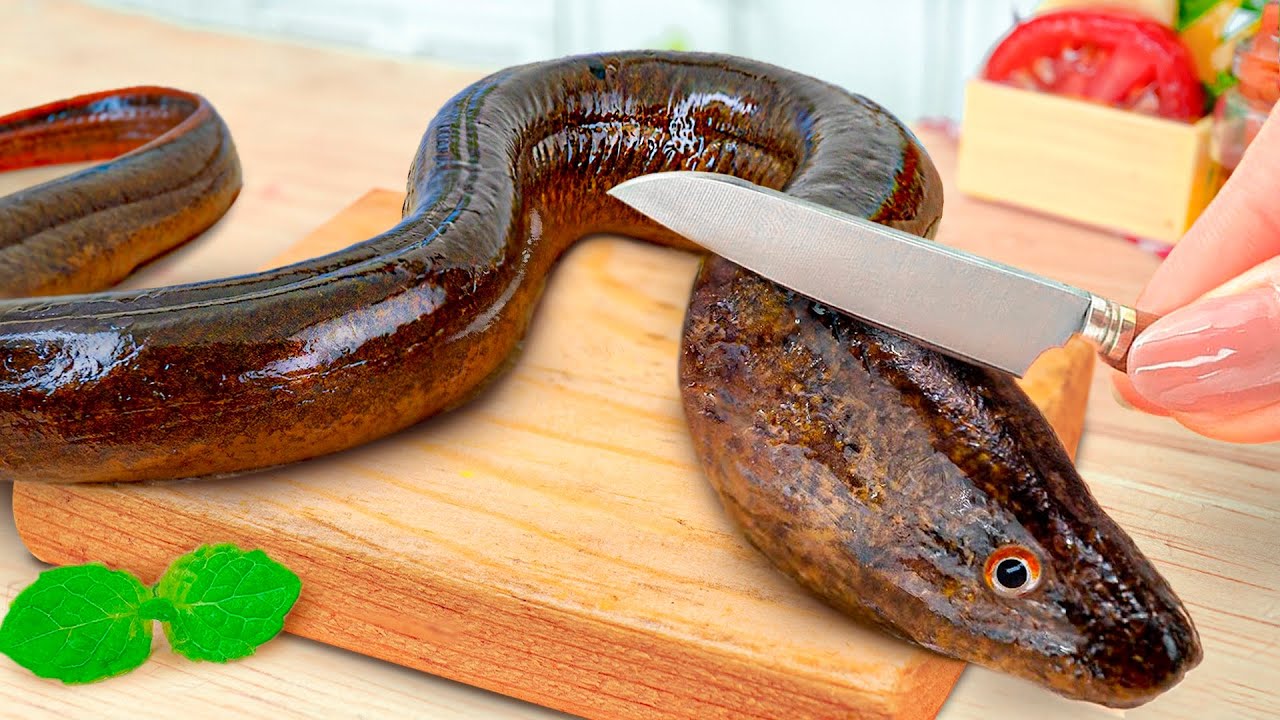Real life Catching Eel and Make Eel Dimsum with Spicy Sauce in Miniature Kitchen 🍣 Mini Yummy ...