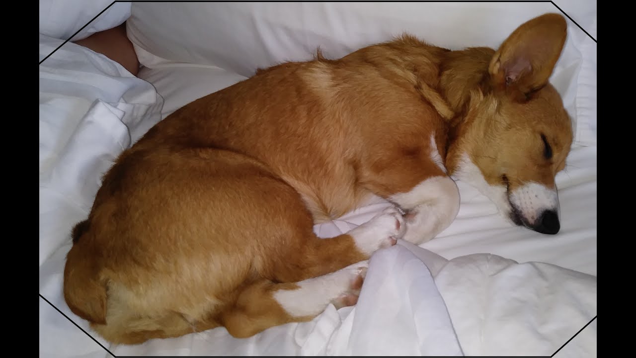 Amber Po ops Across America Pikes Peak - YouTube