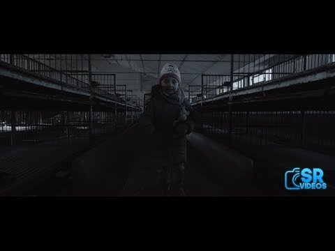 SR VIDEOS PROMO NR 2