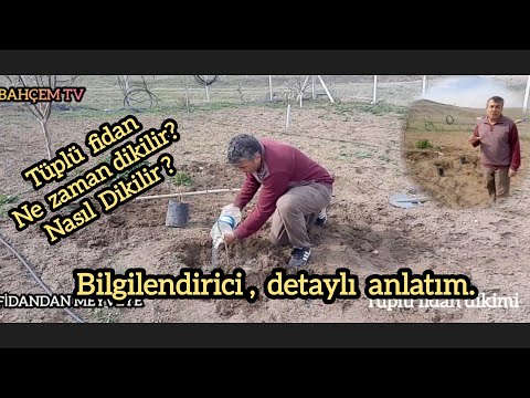 Fidan nasıl dikilir tüplü fidan dikimi BAHÇEM TV
