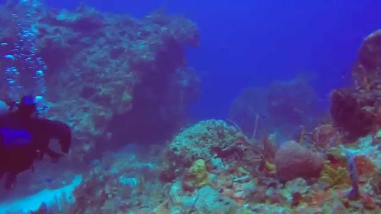 Columbia Reef Deep - Cozumel - Mar. 2015 - YouTube